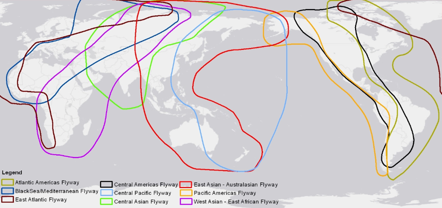 Waterbird Population Estimates