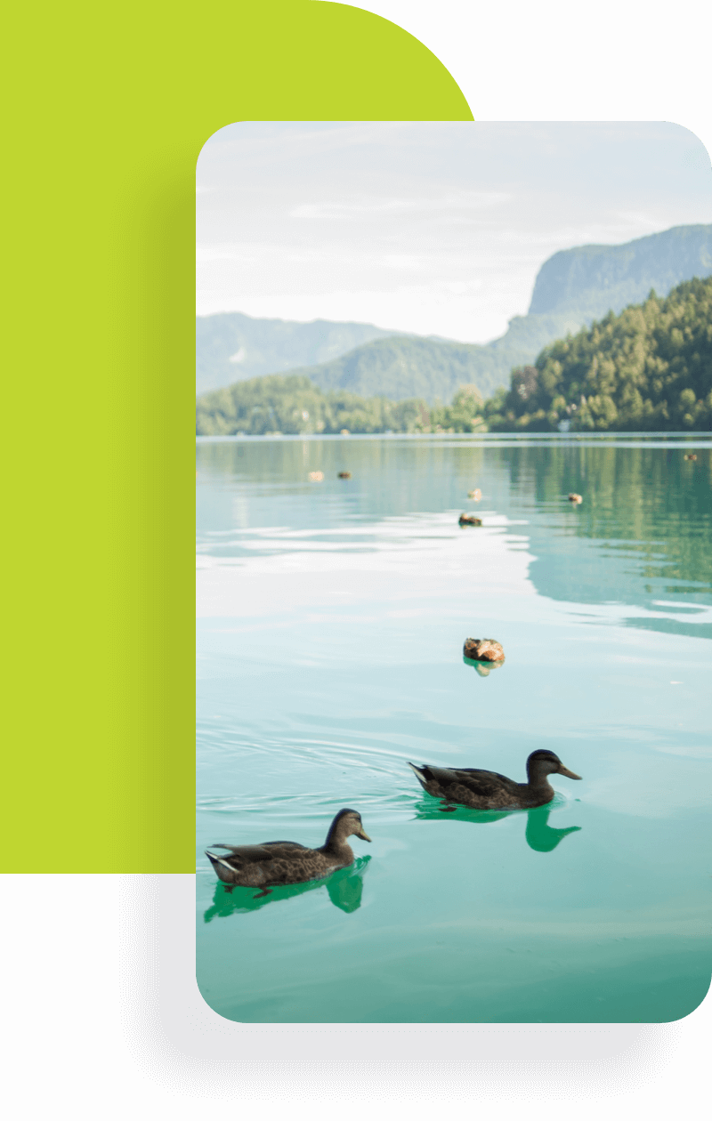 Waterbird Population Estimates